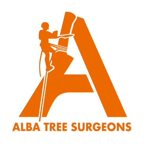 Alba Tree Surgeons Elke Thompson Alba Tree Surgeons Elke Thompson