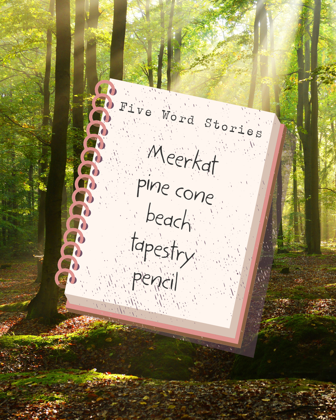 Meerkat, pine cone, beach, tapestry, pencil – Five Word Stories - Elke ...